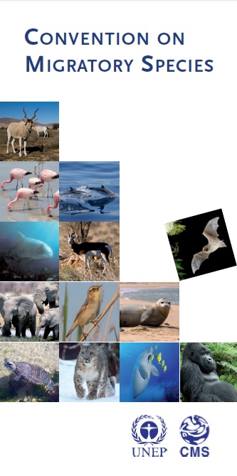 Convention on Migratory Species - Brochure | IOSEA Marine Turtles